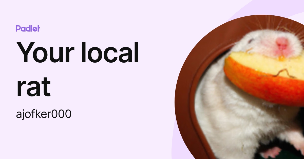 Your local rat (ajofker000) profile | Padlet