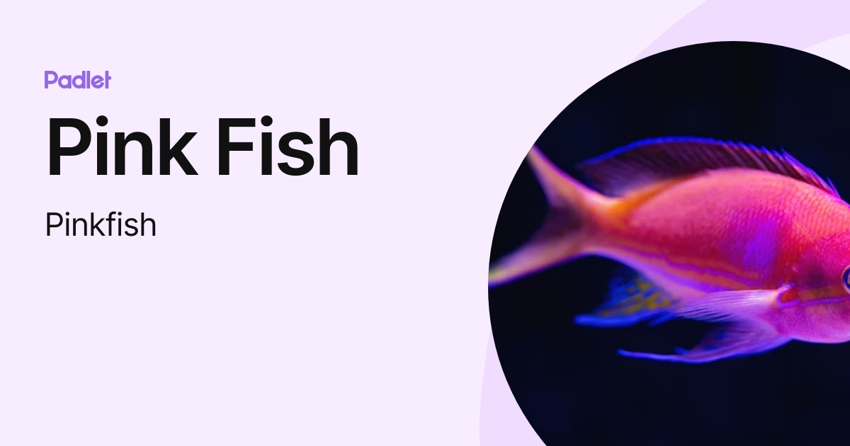 Pink Fish (Pinkfish) profile | Padlet