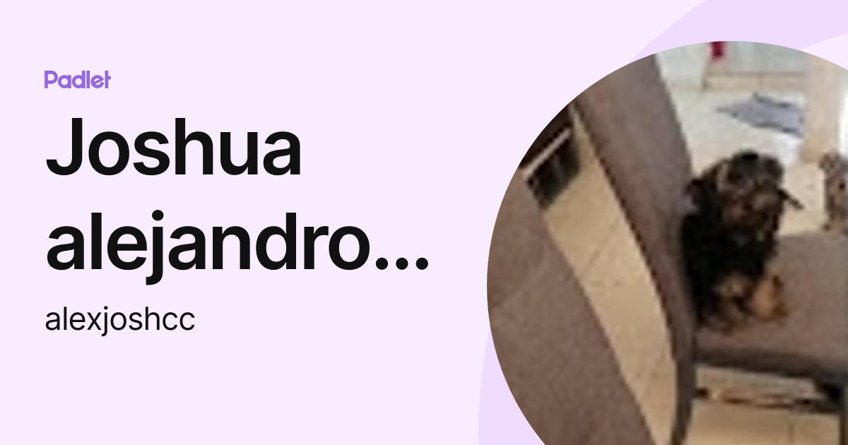 Joshua alejandro Cruz Castro (alexjoshcc) profile | Padlet