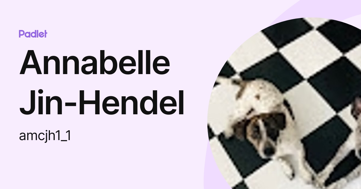 Annabelle Jin-Hendel (amcjh1_1) profile | Padlet