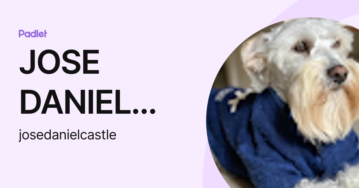 JOSE DANIEL CASTILLO (josedanielcastle) profile | Padlet