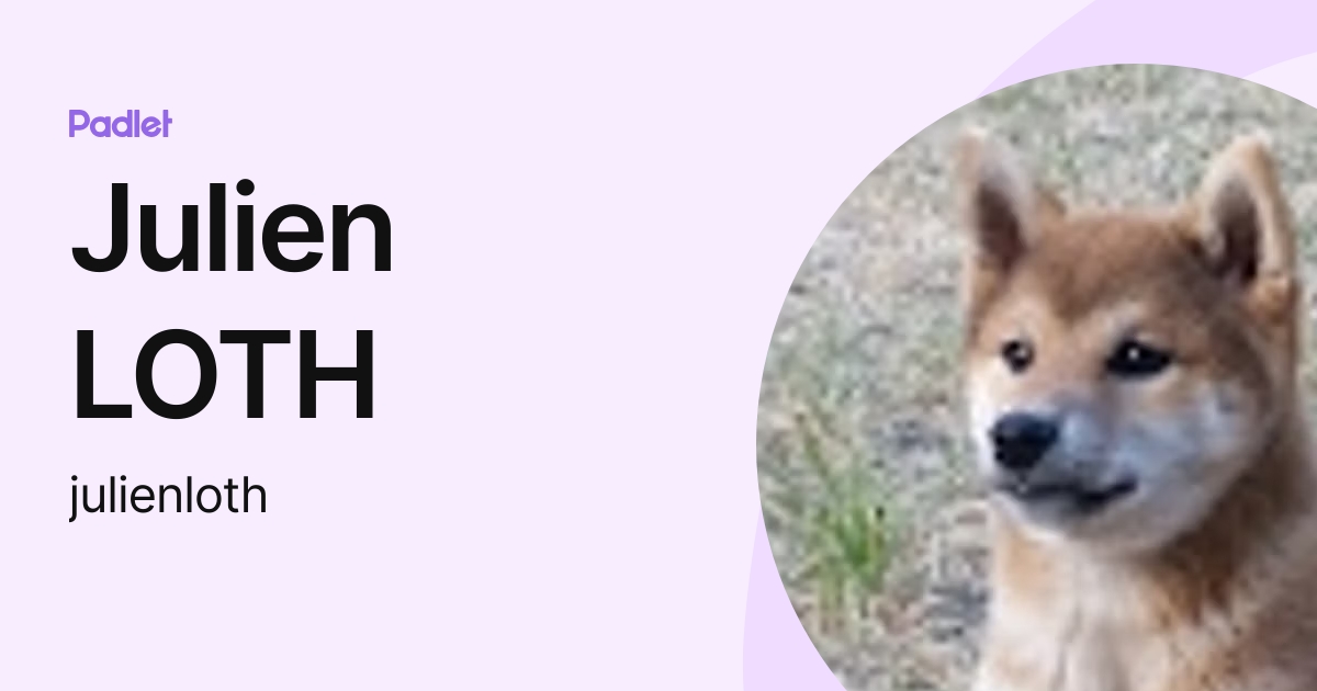 Julien LOTH (julienloth) profile | Padlet