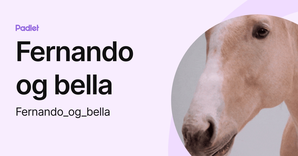 Fernando og bella (Fernando_og_bella) profile | Padlet
