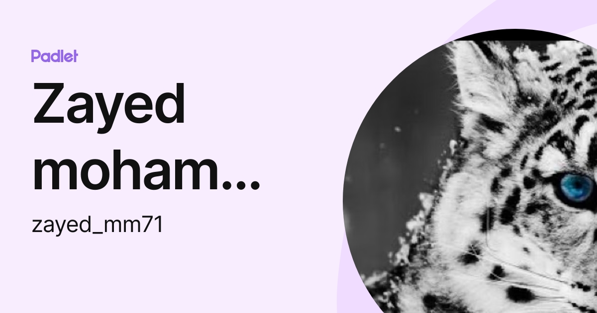 Zayed mohammed (zayed_mm71) profile | Padlet