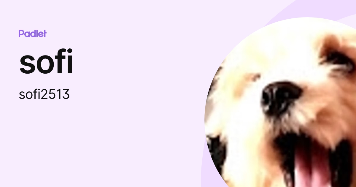 sofi (sofi2513) profile | Padlet