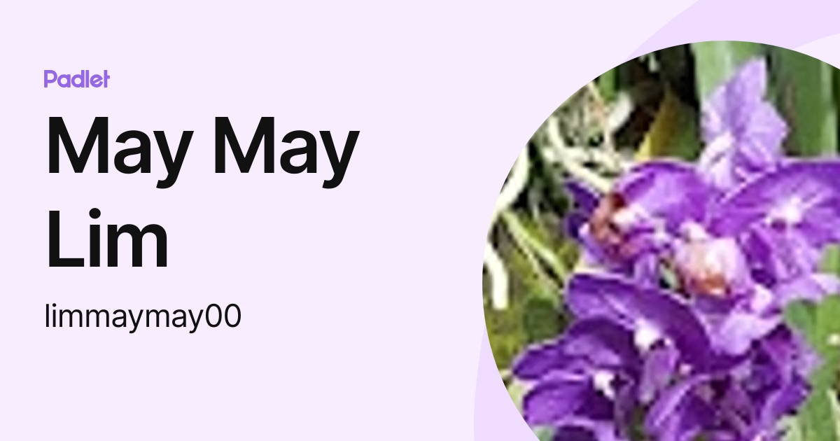 May May Lim (limmaymay00) profile | Padlet