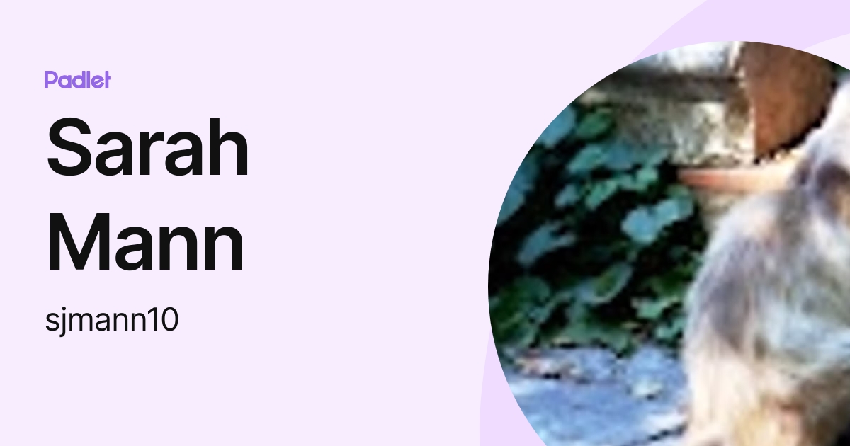 Sarah Mann (sjmann10) profile | Padlet