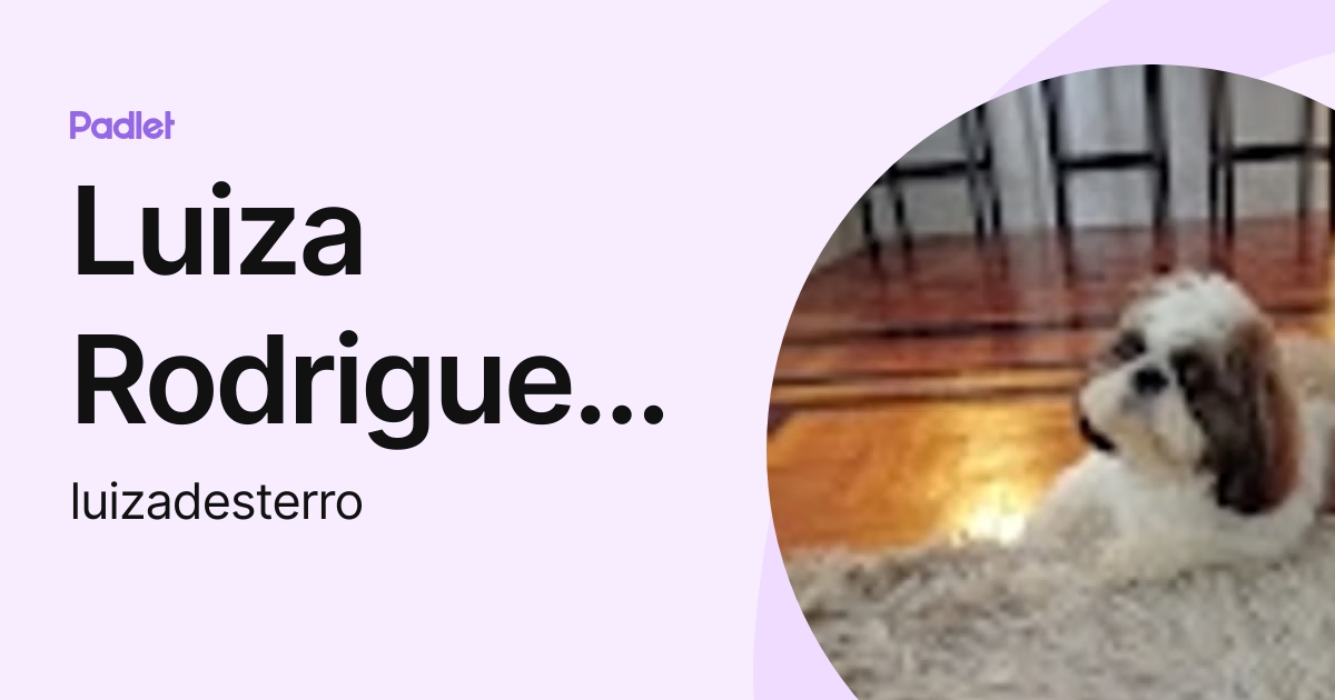 Luiza Rodrigues Desterro E Silva (luizadesterro) profile | Padlet