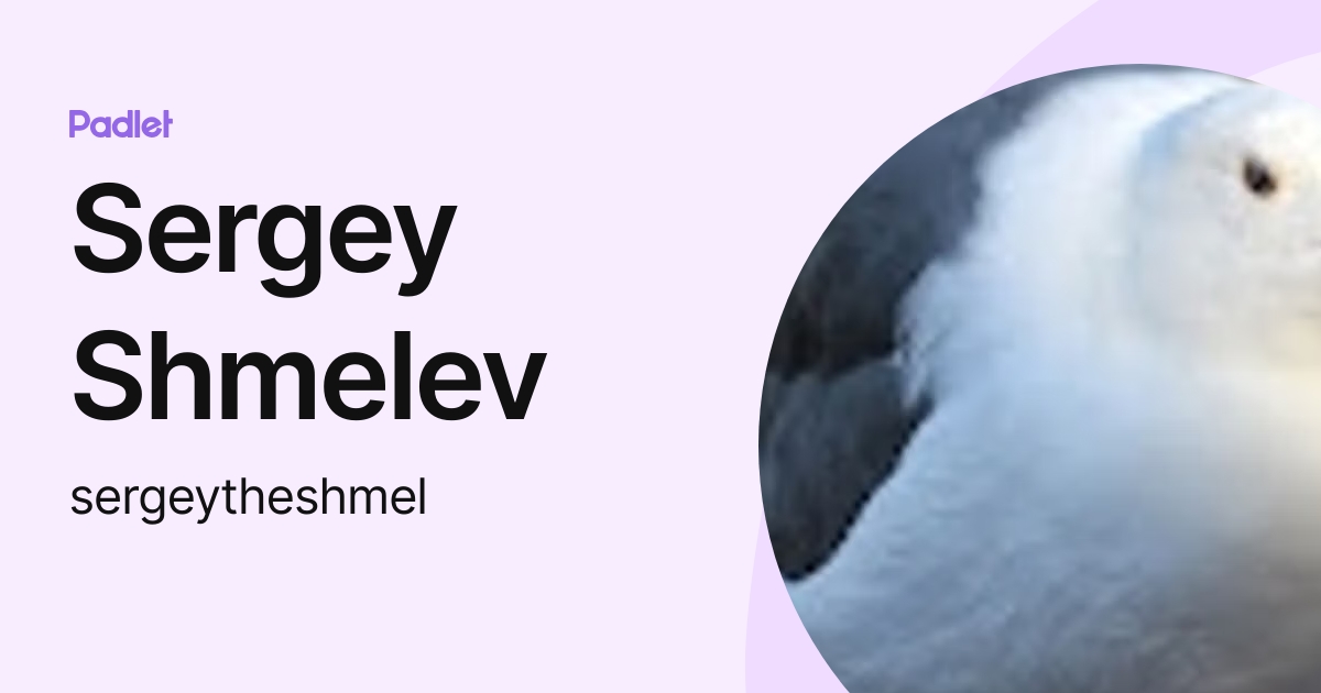Sergey Shmelev (sergeytheshmel) profile | Padlet