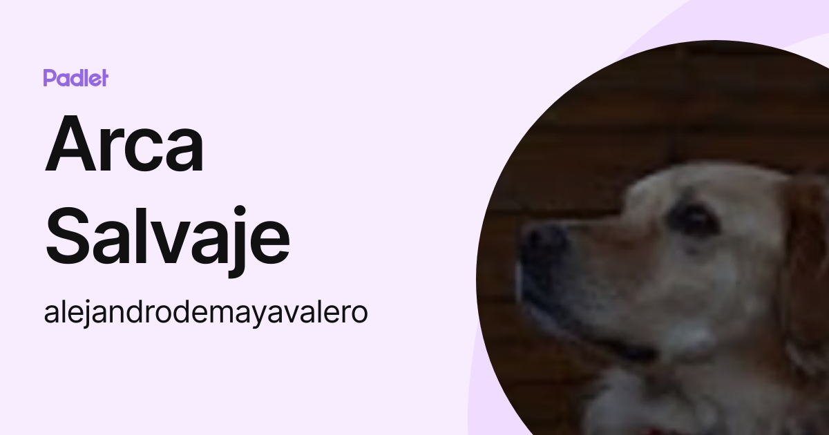 Arca Salvaje (alejandrodemayavalero) profile | Padlet
