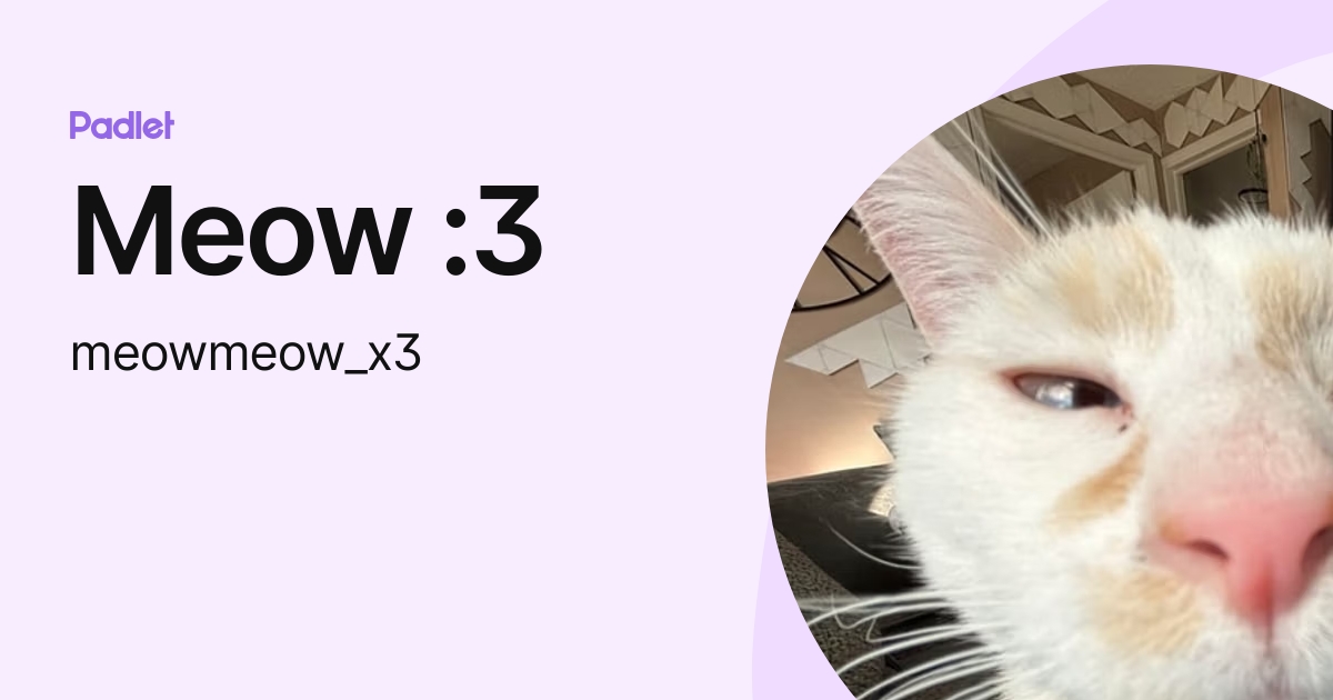Meow :3 (meowmeow_x3) profile | Padlet