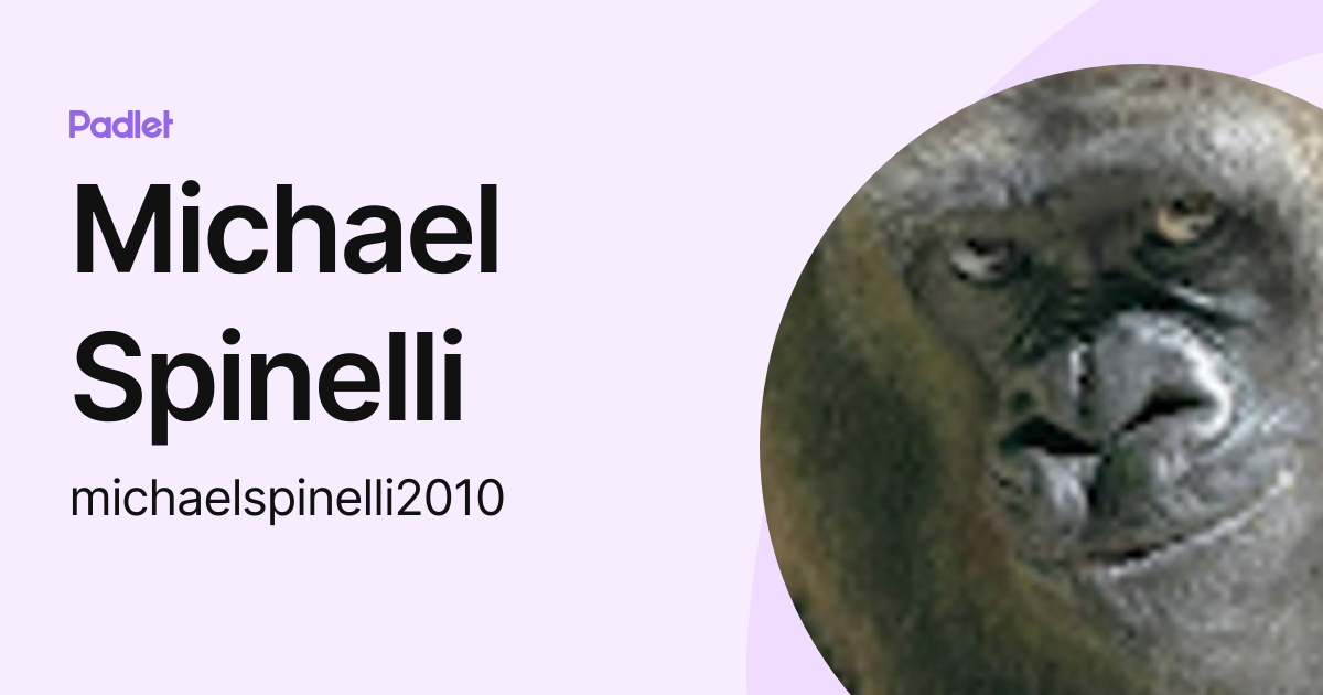 Michael Spinelli (michaelspinelli2010) profile | Padlet