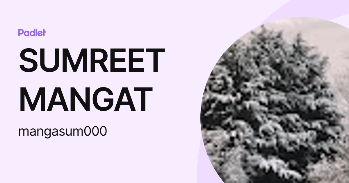SUMREET MANGAT (mangasum000) profile | Padlet