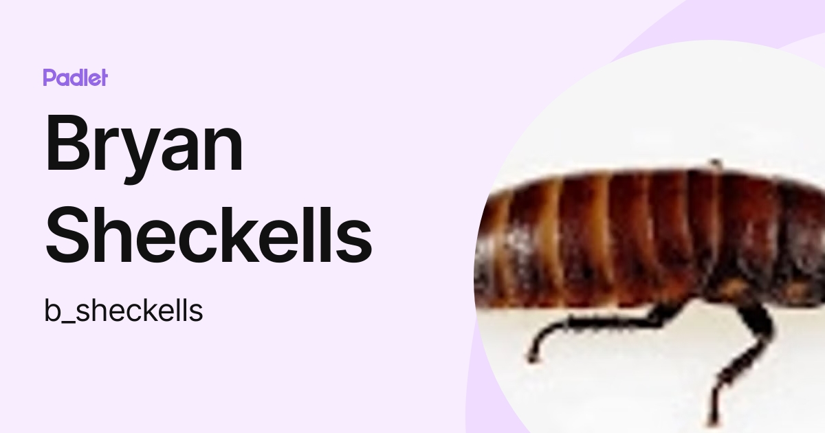 Bryan Sheckells (b_sheckells) profile | Padlet