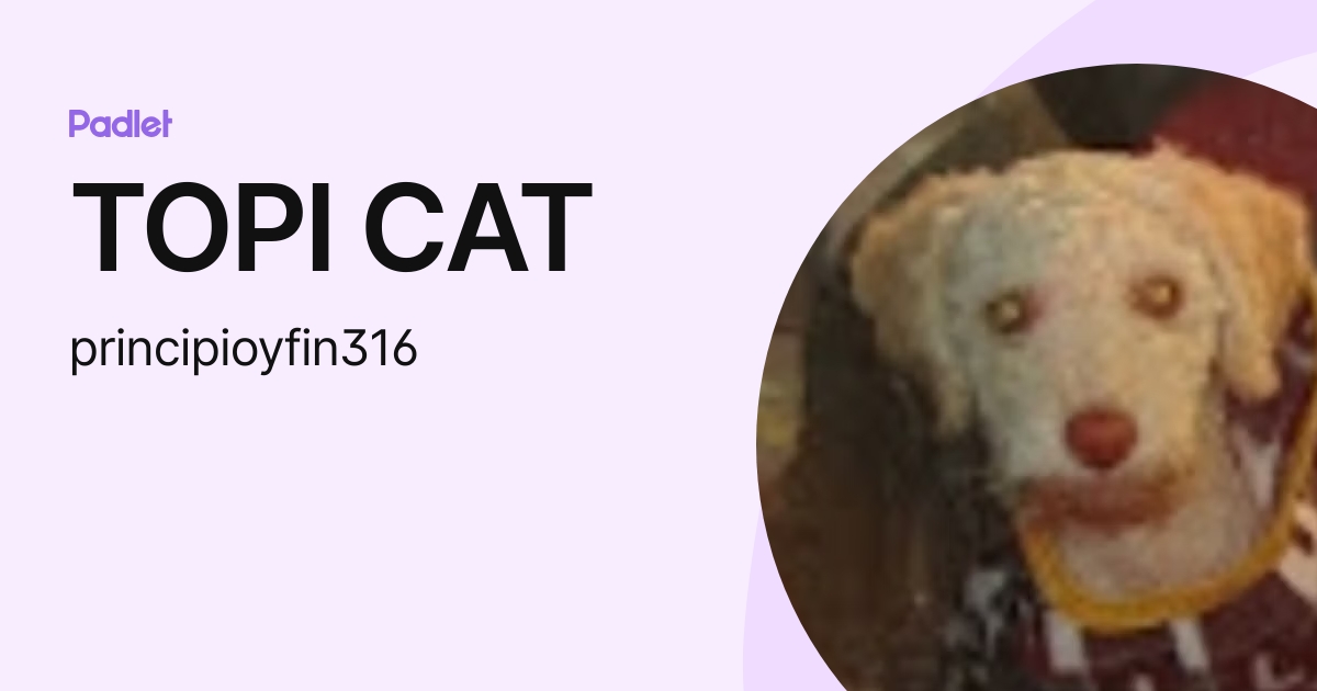 TOPI CAT (principioyfin316) profile | Padlet