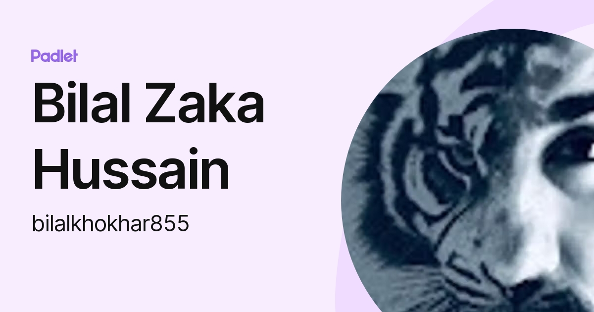 Bilal Zaka Hussain (bilalkhokhar855) profile | Padlet