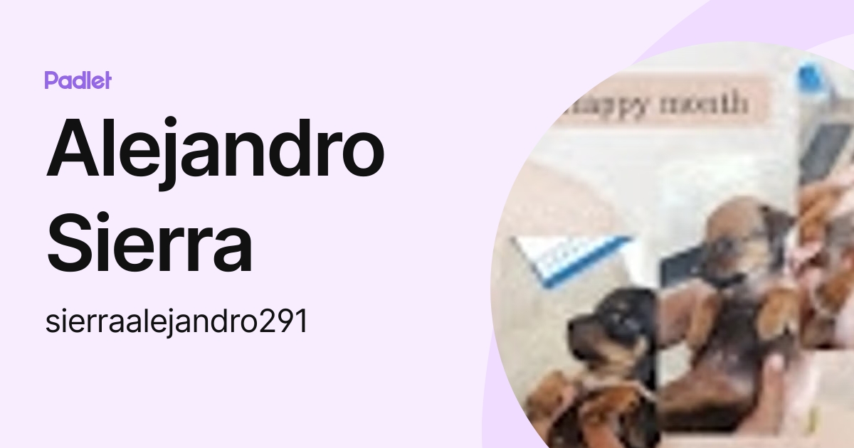 Alejandro Sierra (sierraalejandro291) profile | Padlet