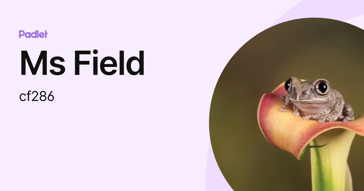 Ms Field (cf286) profile | Padlet