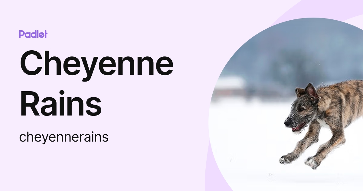Cheyenne Rains (cheyennerains) profile | Padlet