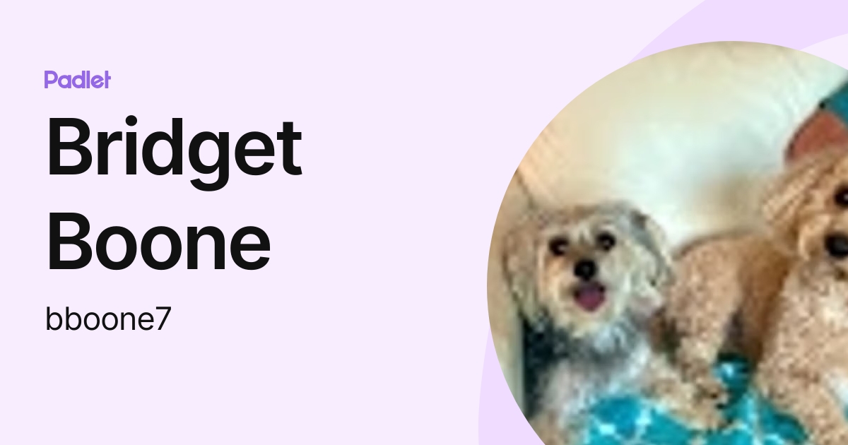 Bridget Boone Bboone7 Profile Padlet