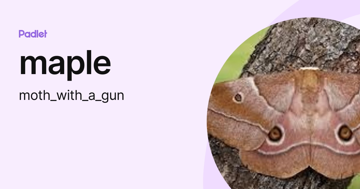 maple (moth_with_a_gun) profile | Padlet