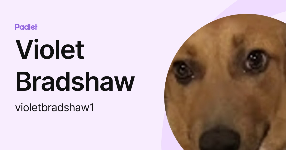 Violet Bradshaw (violetbradshaw) profile | Padlet