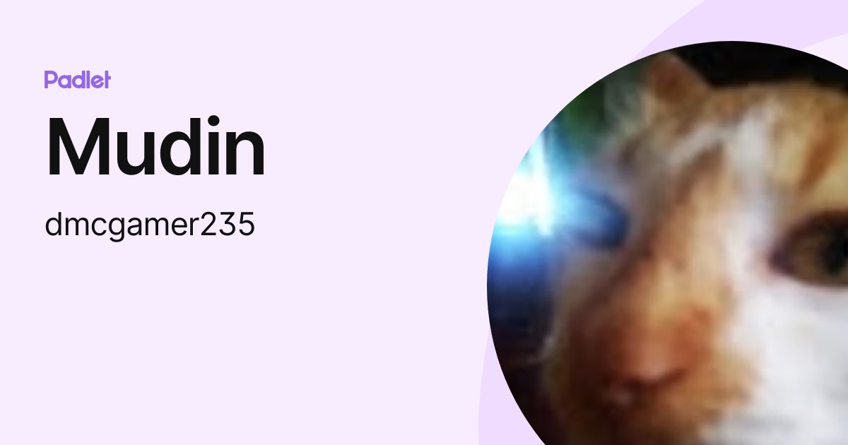 Mudin (dmcgamer235) profile | Padlet
