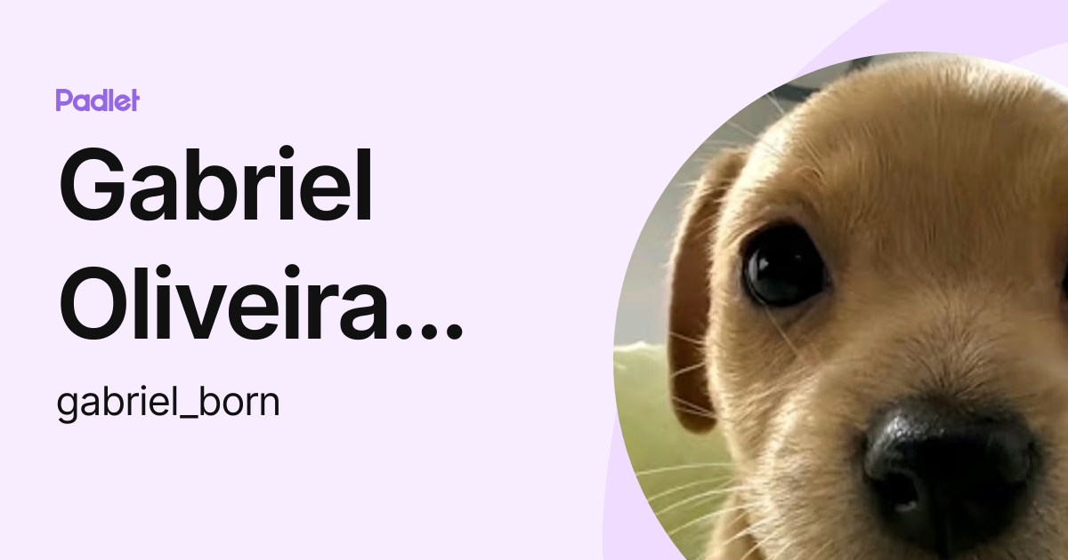Gabriel Oliveira Born (gabriel_born) profile | Padlet