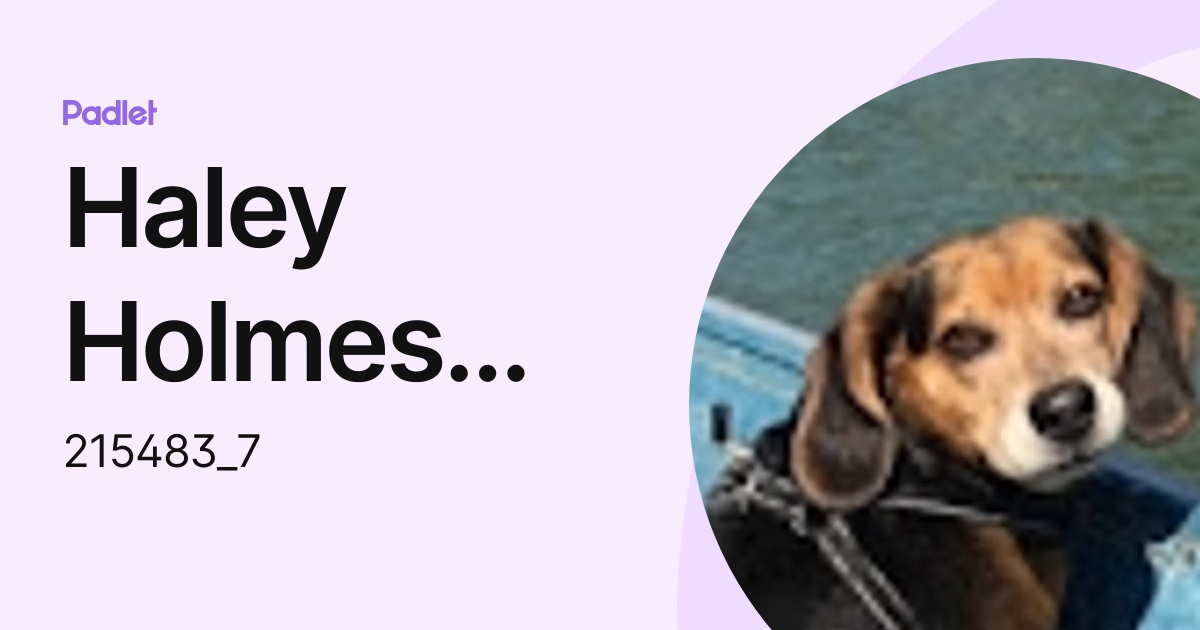 Haley Holmes (CH) (215483_7) profile | Padlet