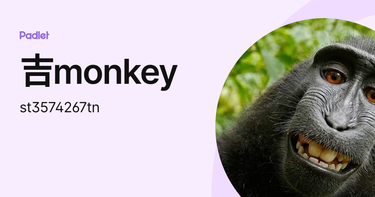 吉monkey (st3574267tn) profile | Padlet