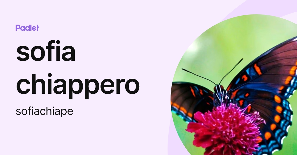 sofia chiappero (sofiachiape) perfil | Padlet