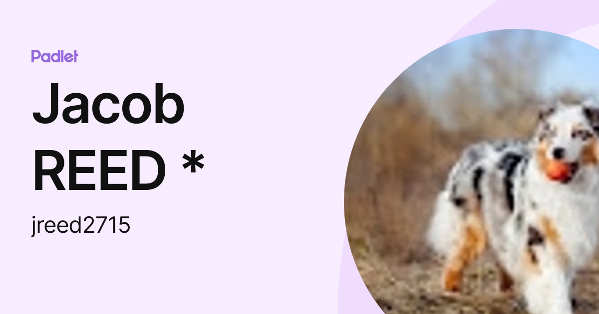 Jacob Reed (jreed2715) profile | Padlet