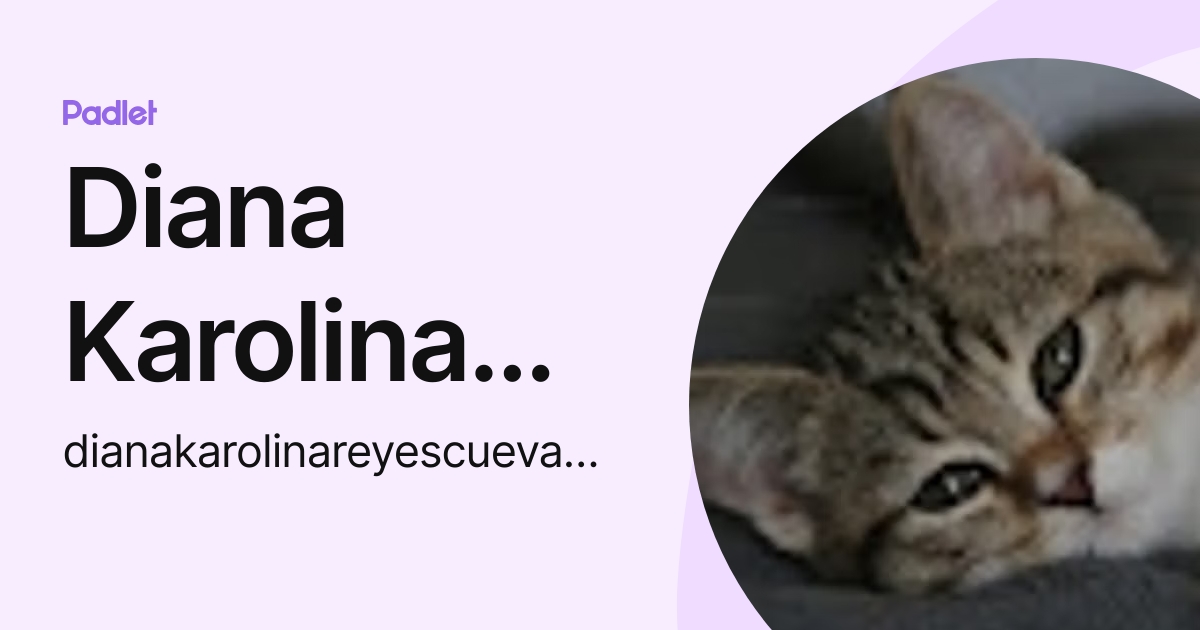 Diana Karolina Reyes Cueva (dianakarolinareyescueva647) profile | Padlet