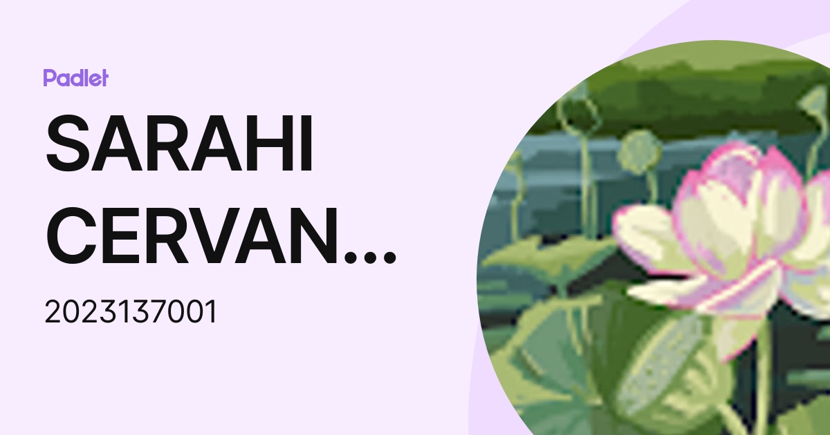 SARAHI CERVANTES VARGAS (2023137001) profile | Padlet