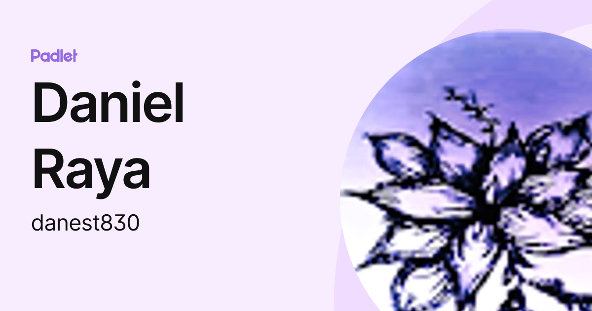 Daniel Raya (danest830) profile | Padlet