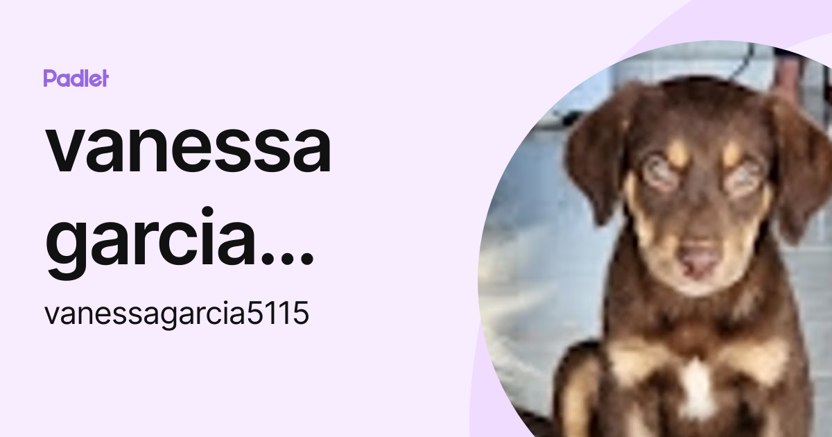 vanessa garcia ramirez (vanessagarcia5115) profile | Padlet