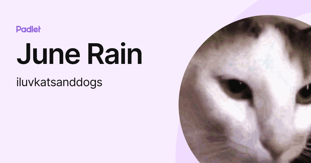 June Rain (iluvkatsanddogs) profile | Padlet