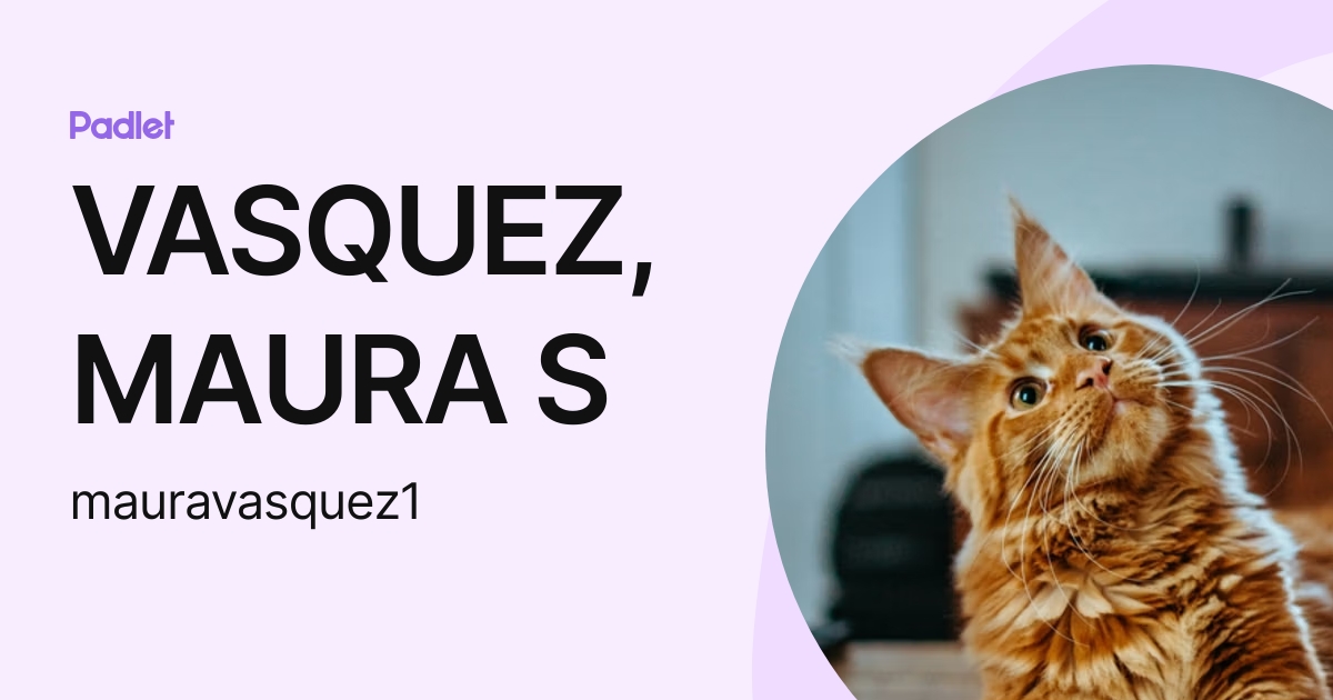 VASQUEZ, MAURA S (mauravasquez1) profile | Padlet
