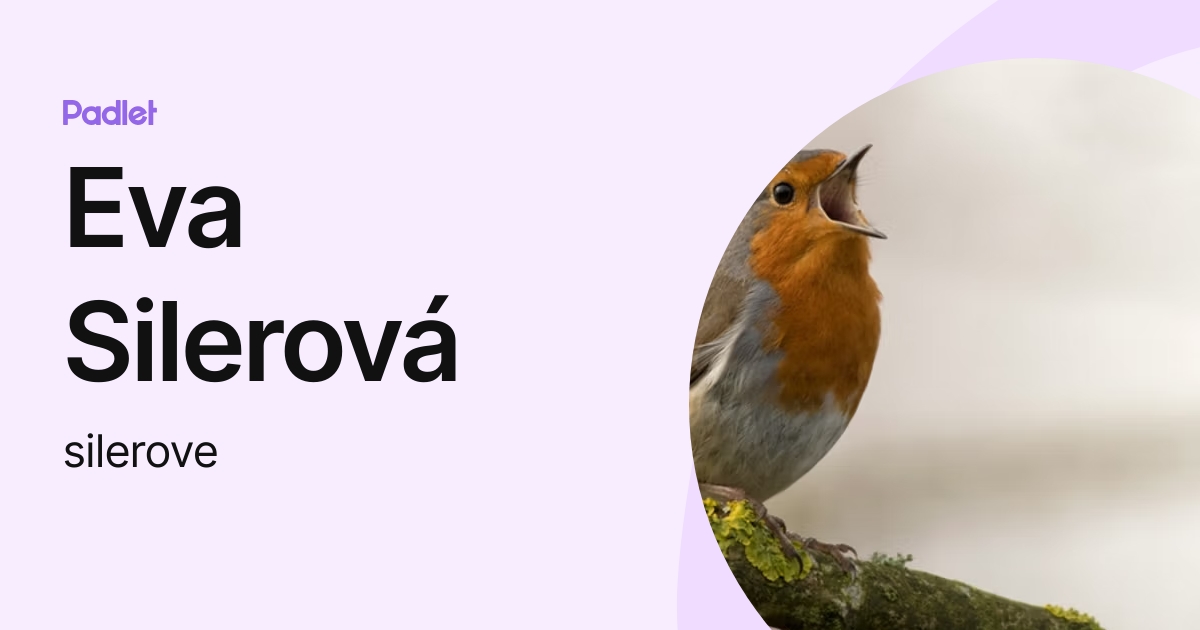Eva Silerová (silerove) profile | Padlet