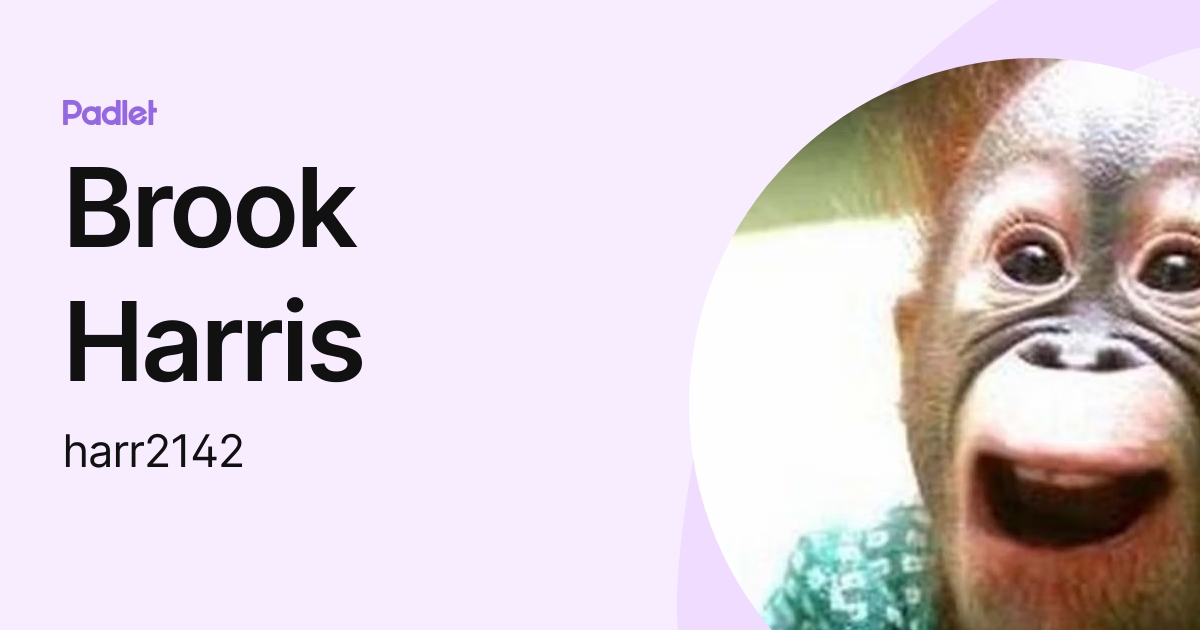 Brook Harris (harr2142) profile | Padlet