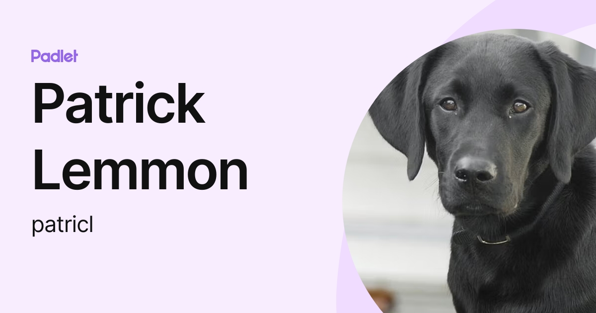 Patrick Lemmon (patricl) profile | Padlet