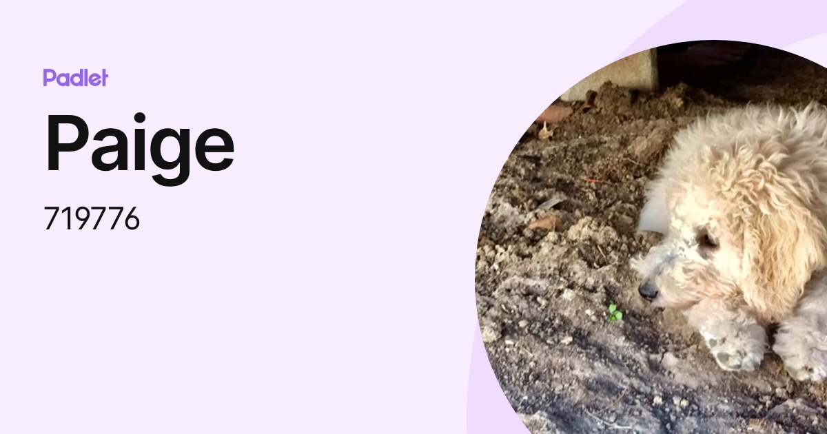 Paige (719776) profile | Padlet