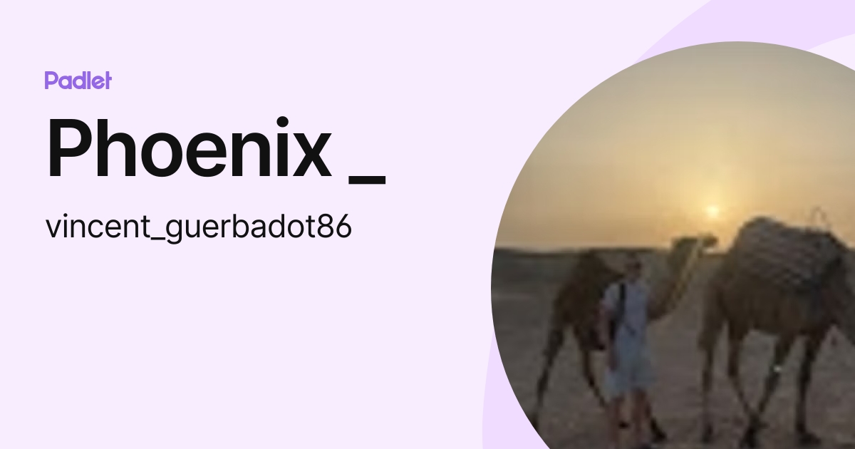 Phoenix _ (vincent_guerbadot86) profile | Padlet