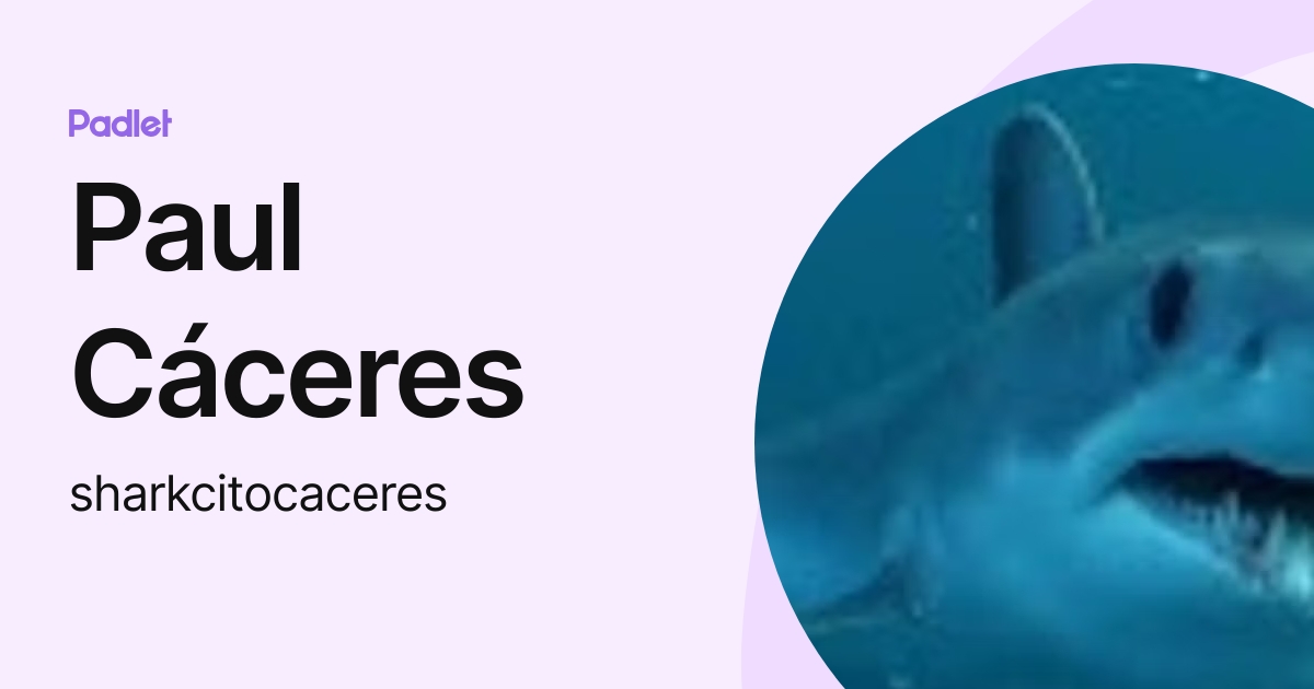Paul Cáceres (sharkcitocaceres) profile | Padlet