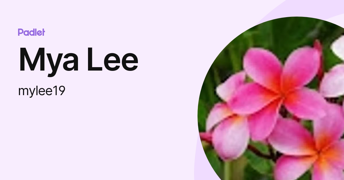 Mya Lee (mylee19) profile | Padlet