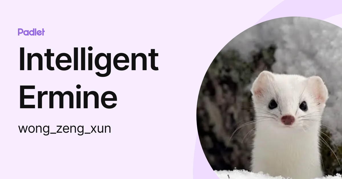 Intelligent Ermine (wong_zeng_xun) profile | Padlet