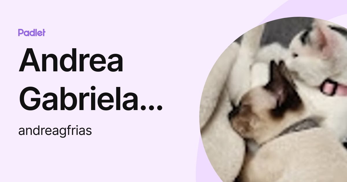 Andrea Gabriela Fr as Guti rrez (andreagfrias) profile | Padlet