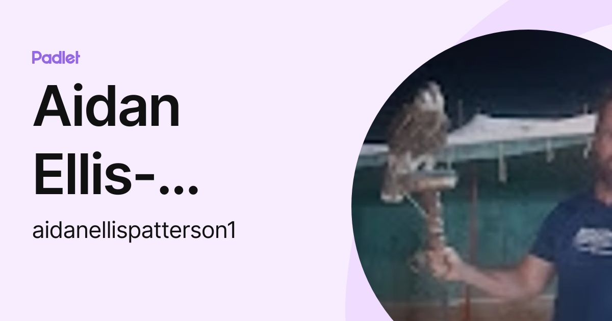 Aidan Ellis-Patterson (aidanellispatterson1) profile | Padlet