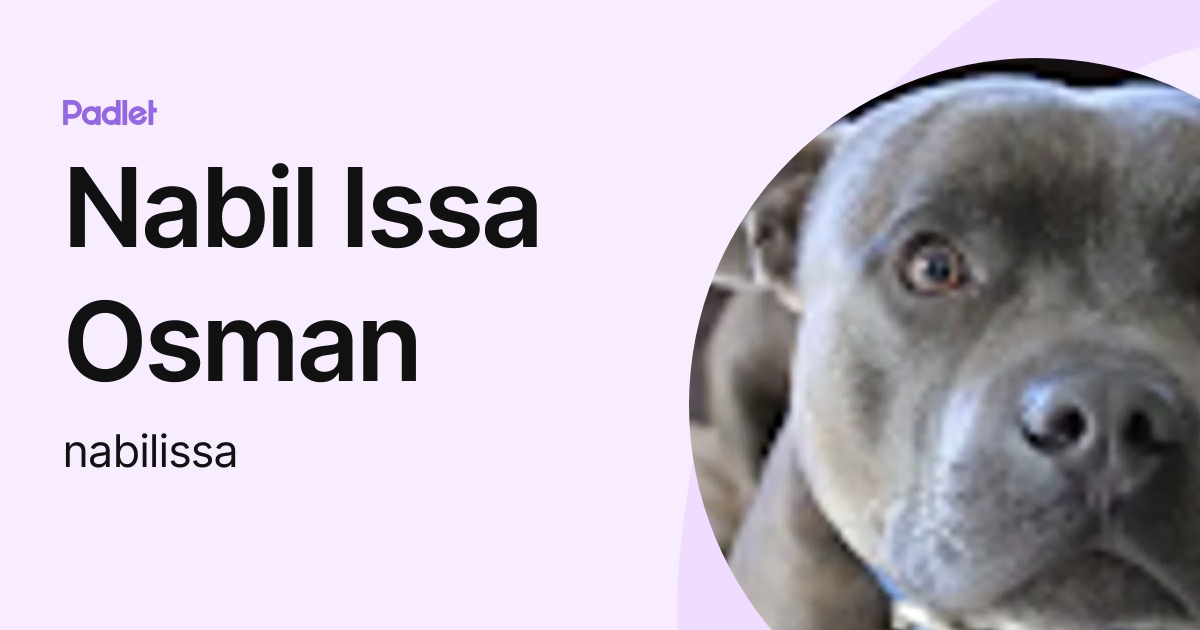 Nabil Issa Osman (nabilissa) profile | Padlet