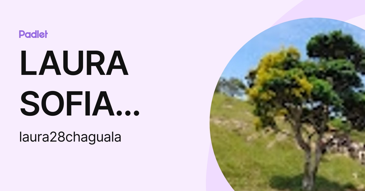 LAURA SOFIA CHAGUALA TEJADA (laura28chaguala) profile | Padlet